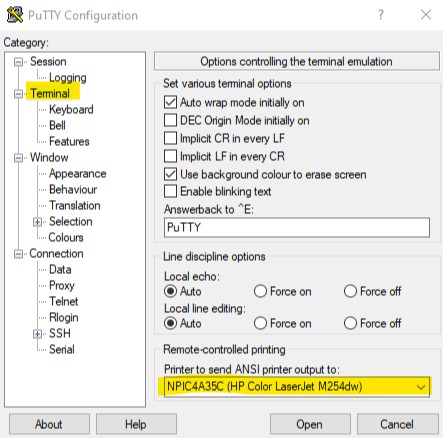 DPN - Settings for Putty